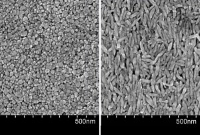 LTO tape under the microscope – PMD Data Solutions Ltd